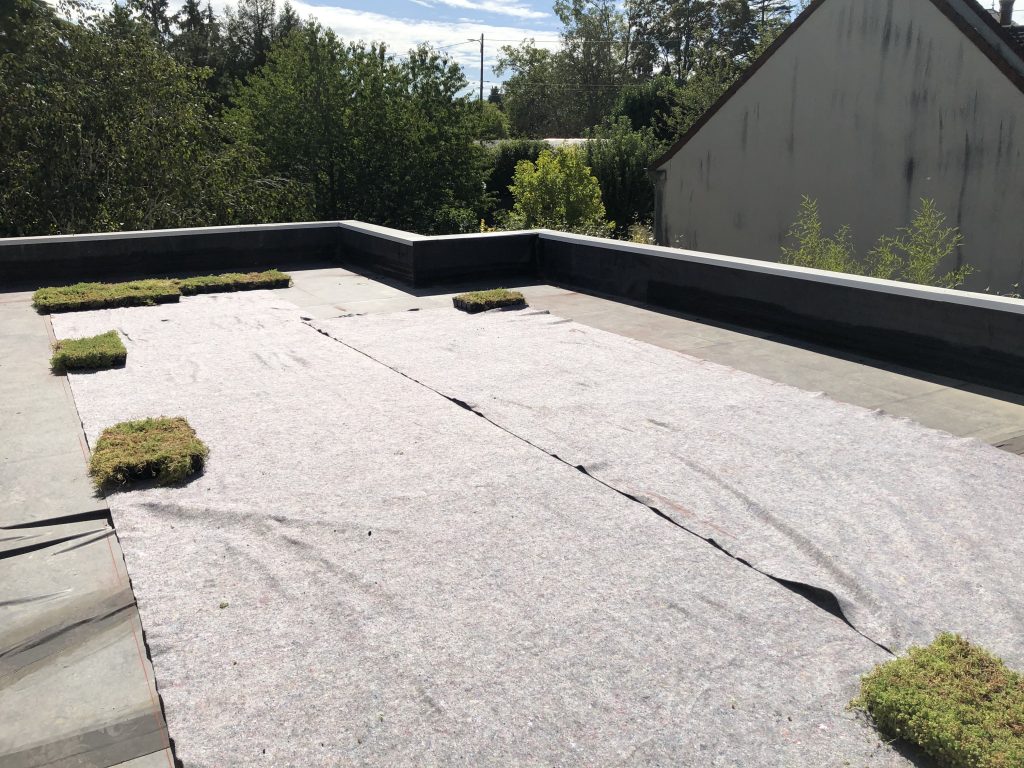 Découvrez comment isoler les toits terrasses